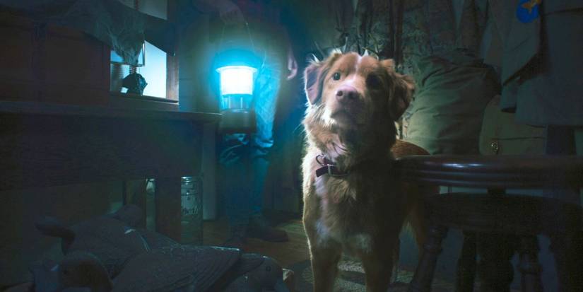 After Positive Reviews, Good Boy Finally Sets Streaming Release Date