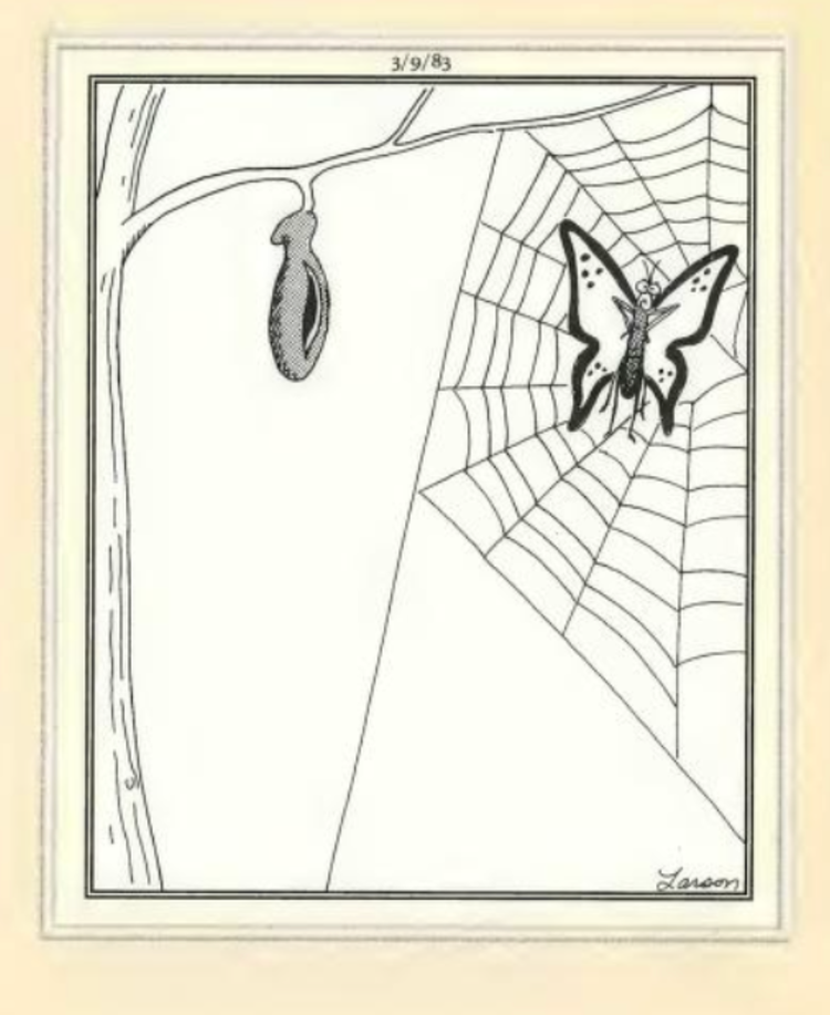 10 Funniest Far Side Comics featuring Spiders, Ranked