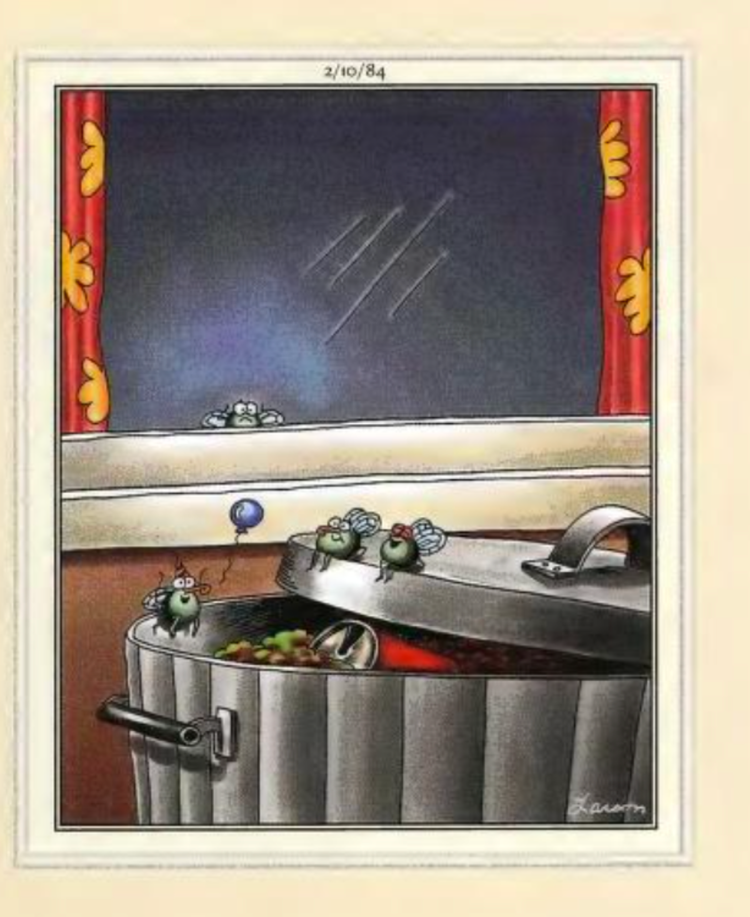 10 Funniest Far Side Comics featuring Flies, Ranked