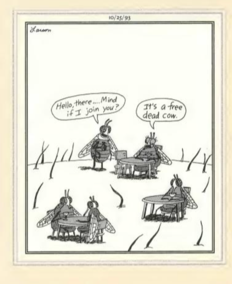 10 Funniest Far Side Comics featuring Flies, Ranked