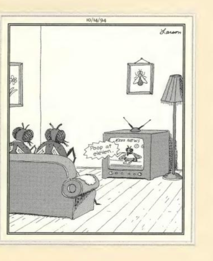 10 Funniest Far Side Comics featuring Flies, Ranked