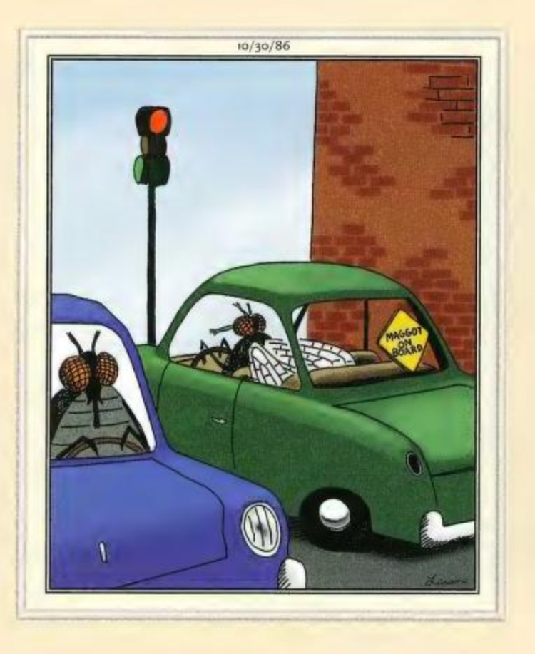10 Funniest Far Side Comics featuring Flies, Ranked
