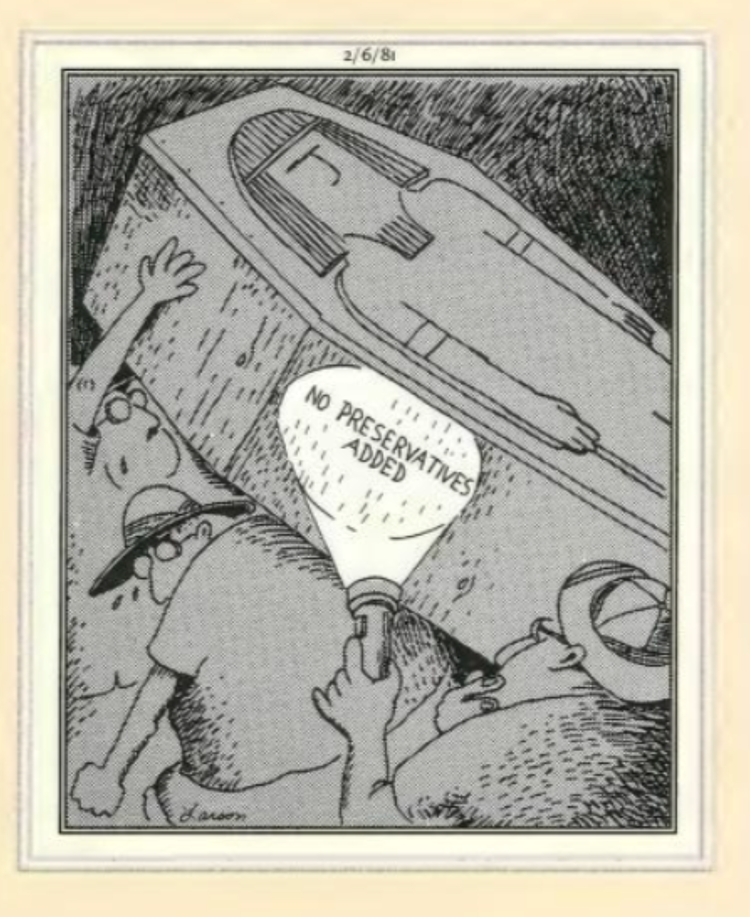 10 Funniest The Far Side Comics Revealing '80s Culture