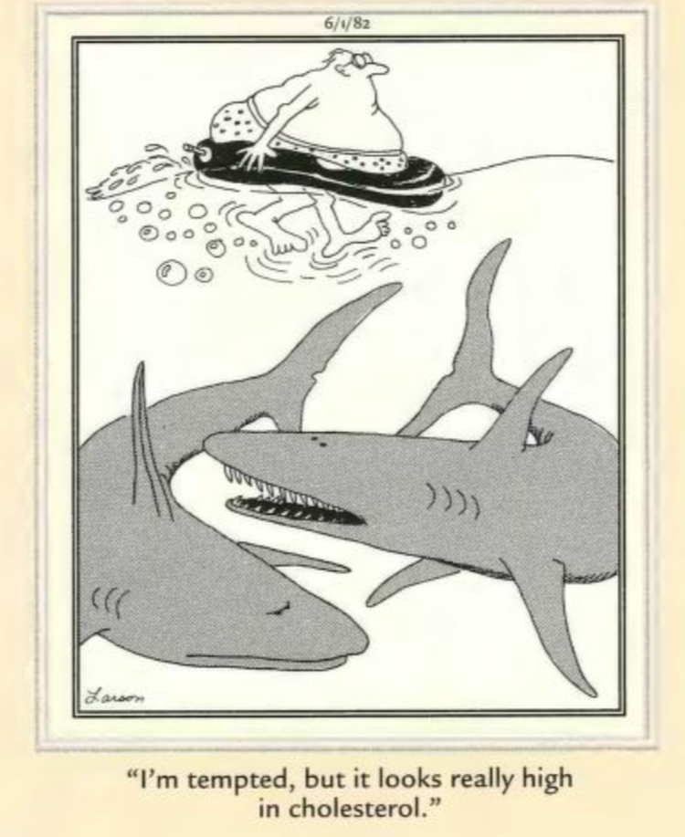 10 Funniest Far Side Comics featuring Sharks, Ranked