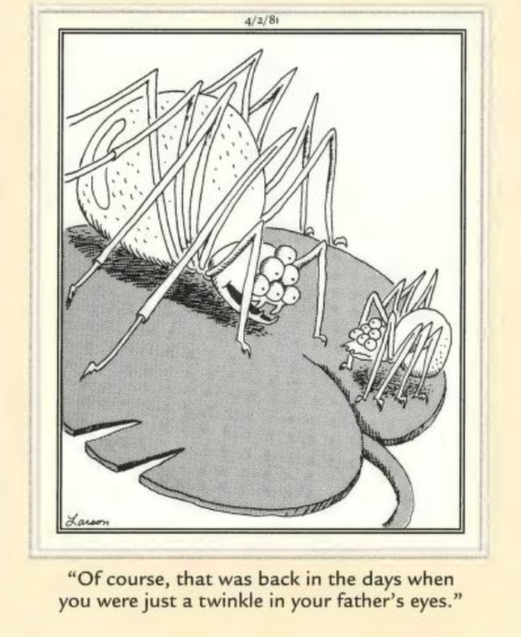 10 Funniest Far Side Comics featuring Spiders, Ranked