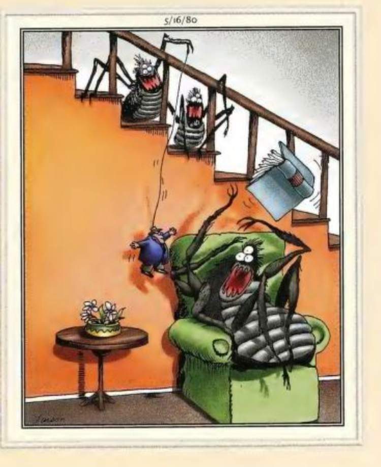 10 Funniest Far Side Comics featuring Spiders, Ranked