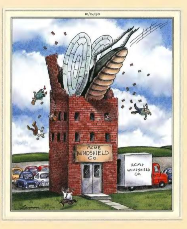 10 Funniest Far Side Comics featuring Flies, Ranked
