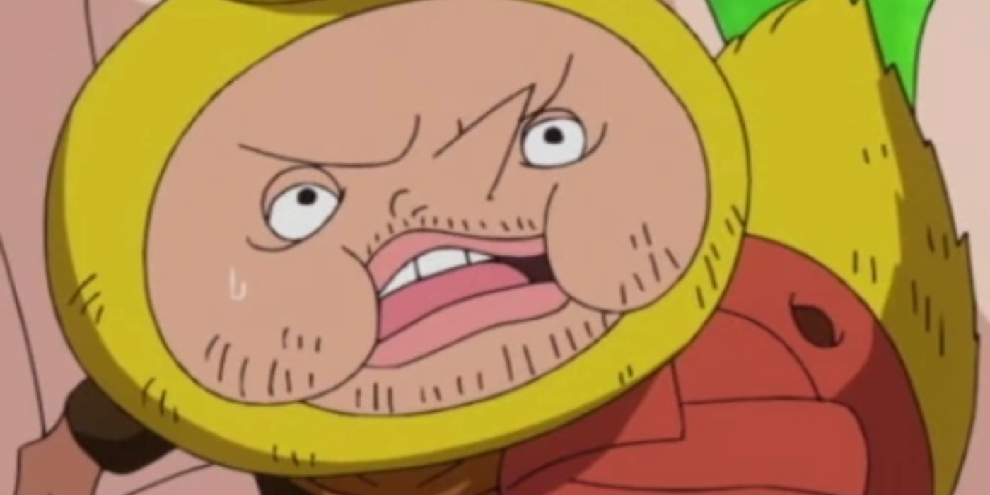 Every Known Member of Luffy's Straw Hat Grand Fleet, Explained