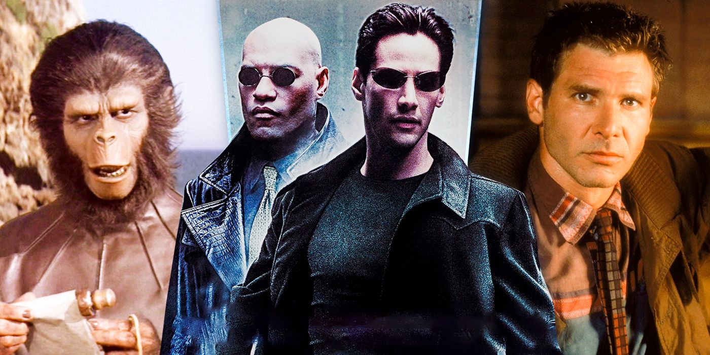 D&D: The Best Polymorph Options