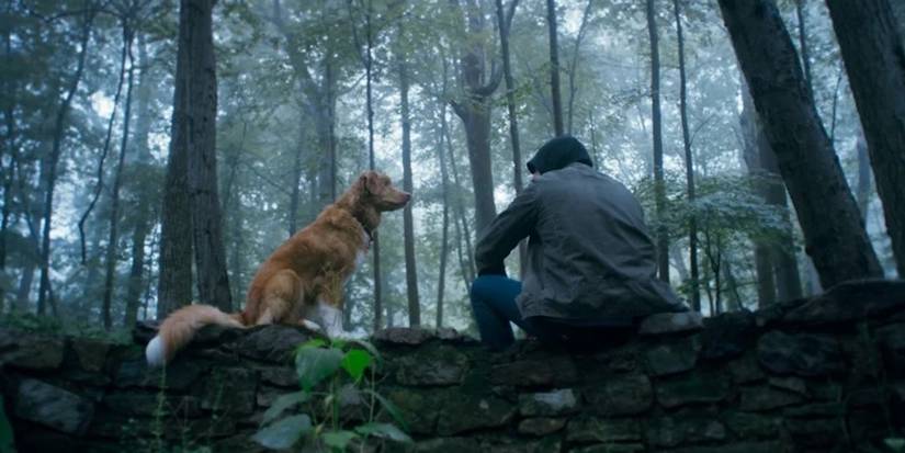 Good Boy 2025 Review: Haunted House Horror from a Dog's POV