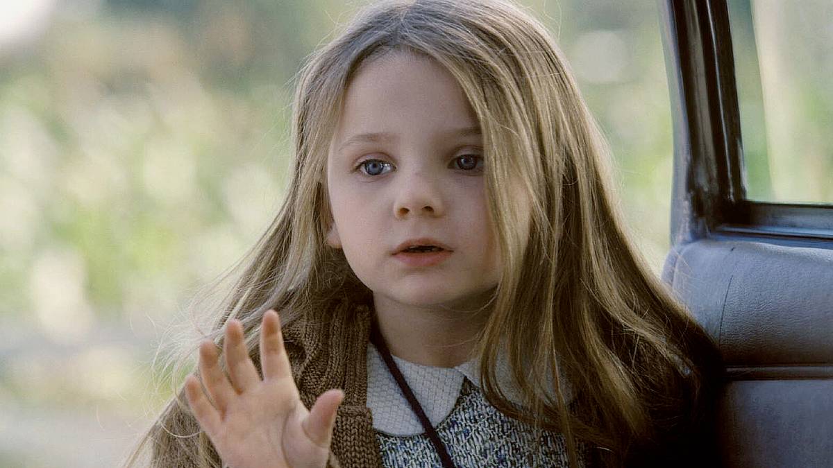 Roger Ebert Hailed Signs as the Perfect Movie