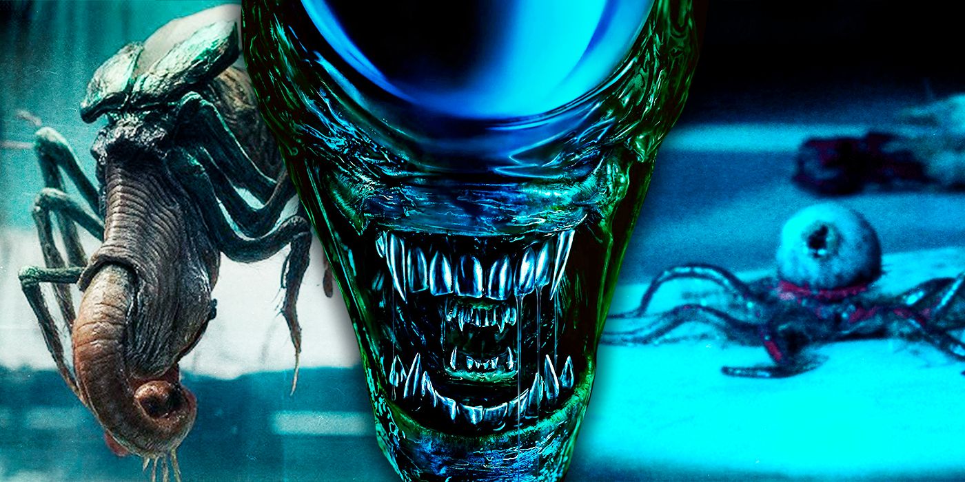 5 Years Later, Fans Are Still Pining For This Canceled Netflix Sci-Fi ...