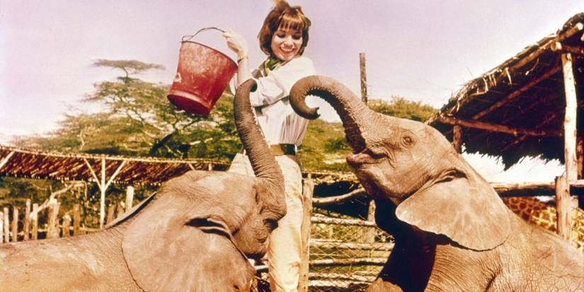 This 63-Year-Old Classic Is 1 of John Wayne’s Greatest Movies (& It’s ...