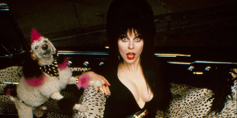 Harley Quinn's Fate is Confirmed In Elvira Crossover Comic