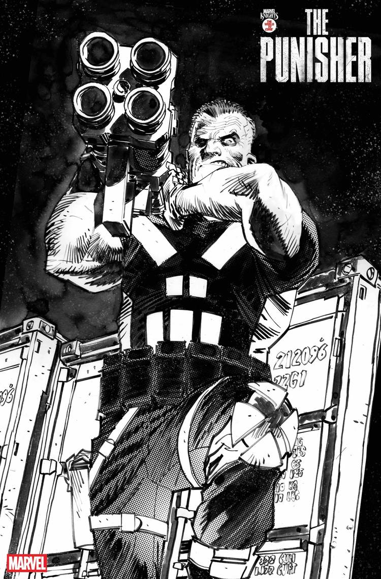 A New Era Of The Punisher Begins With ‘Raw And Relentless’ Story ...