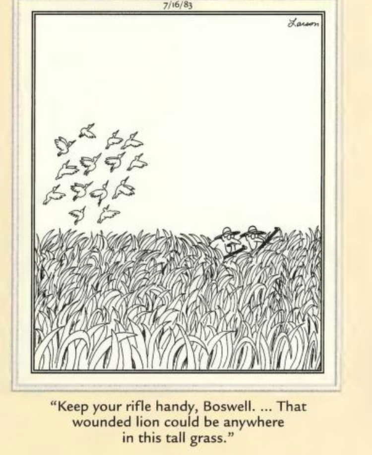 10 Genius The Far Side Comics about Hunting, Ranked