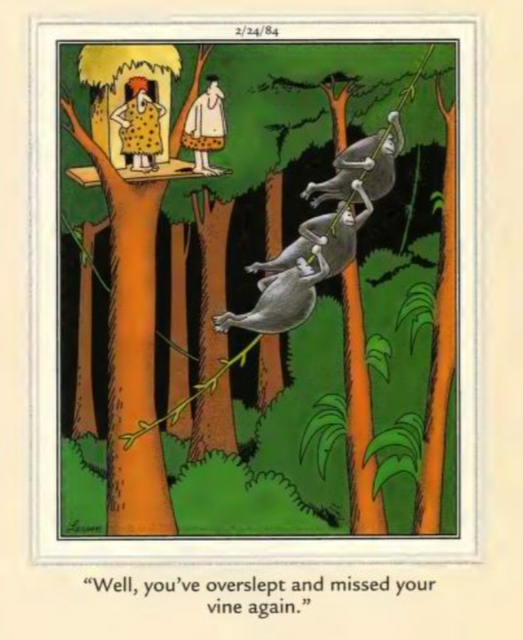10 Funniest The Far Side Comics Featuring Tarzan, Ranked