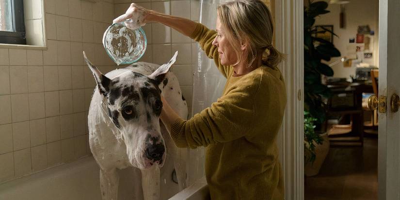 Bill Murray’s 84% RT Drama Is the Marley & Me Replacement We Didn’t ...