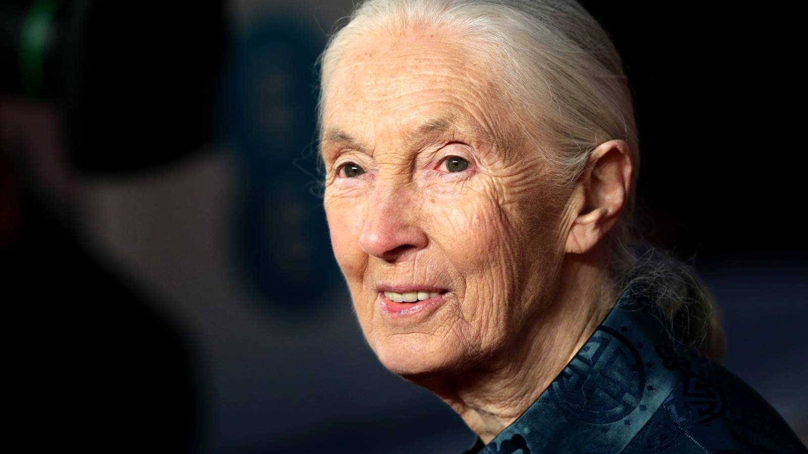 Netflix's Documentary Famous Last Words: Dr. Jane Goodall Becomes a ...