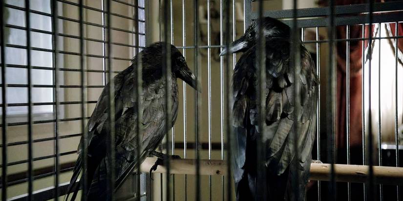 10 Mistakes in Sons of Anarchy Only Diehard Fans Notice