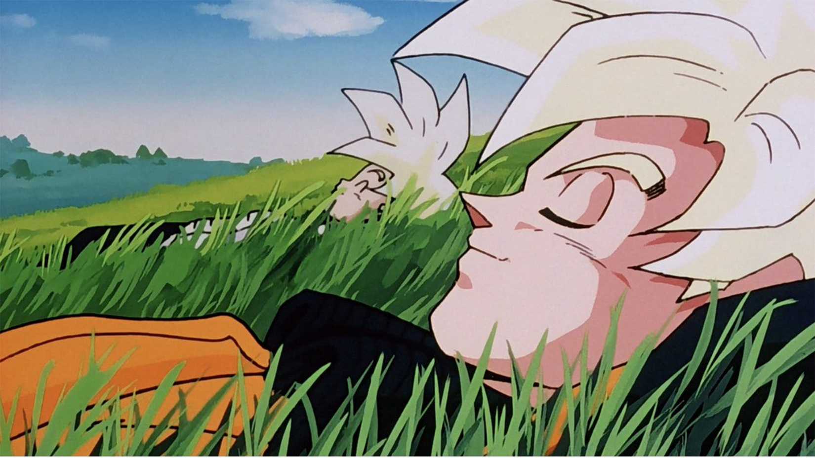 The Dragon Ball Store’s Art Controversy Was Always Overblown
