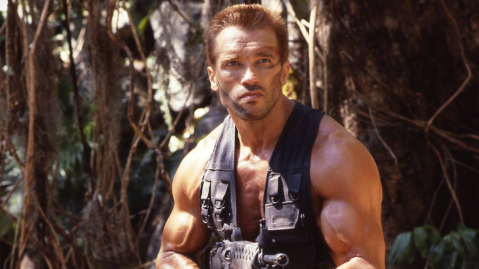 39 Years Later, Arnold Schwarzenegger's Predator Return Just Received ...