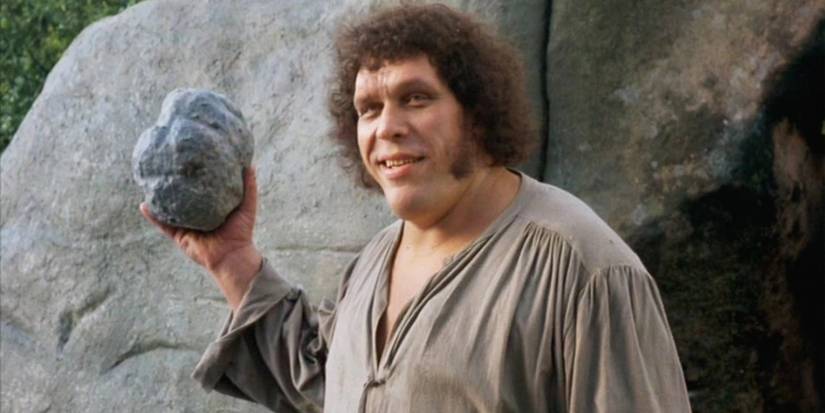 Arnold Schwarzenegger Almost Played Fezzik in The Princess Bride