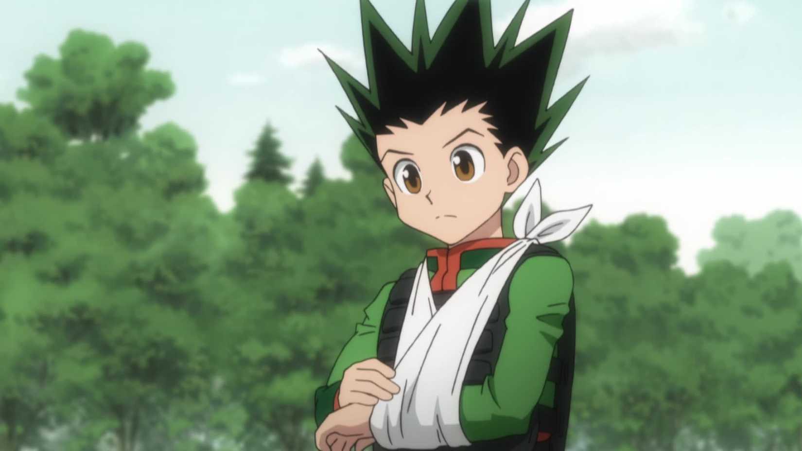 Hunter x Hunter Getting Cancelled Was the Best Thing to Ever Happen to ...