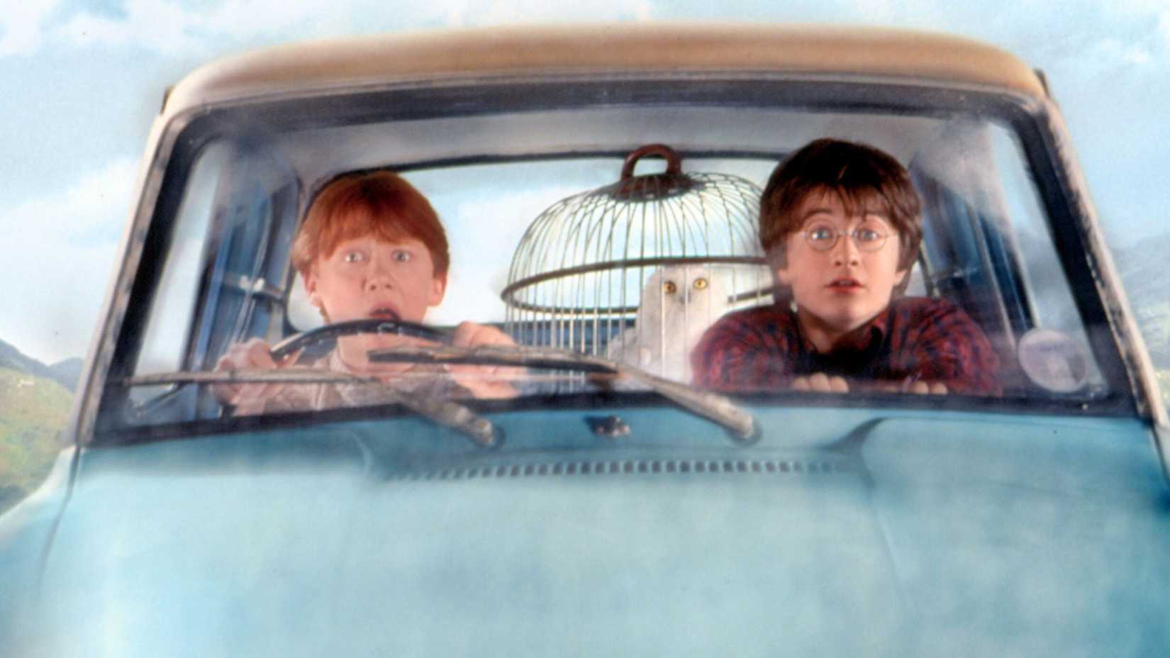 Harry Potter Gets Torn Apart by a Medical Expert