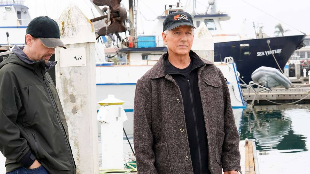 NCIS' Wild New Gibbs Lore Fixes a Decades-Old Mistake About Mark Harmon ...