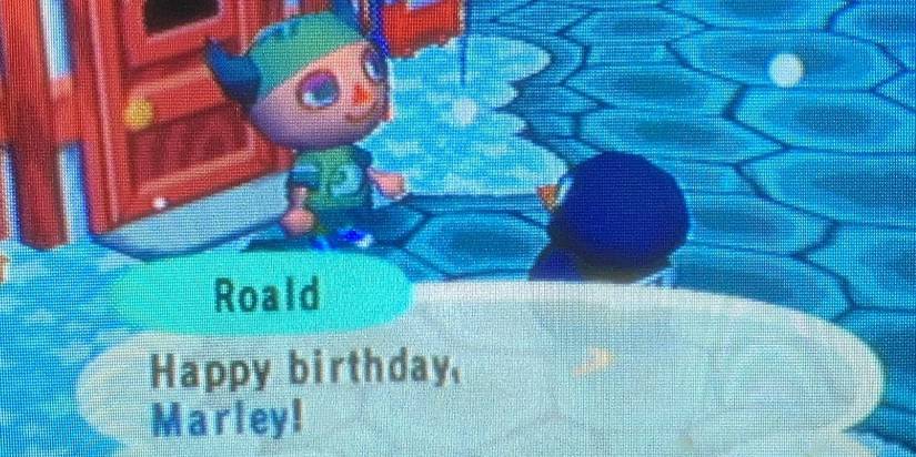 The First Animal Crossing Aged Like Fine Wine, I Should Know After 1 Year