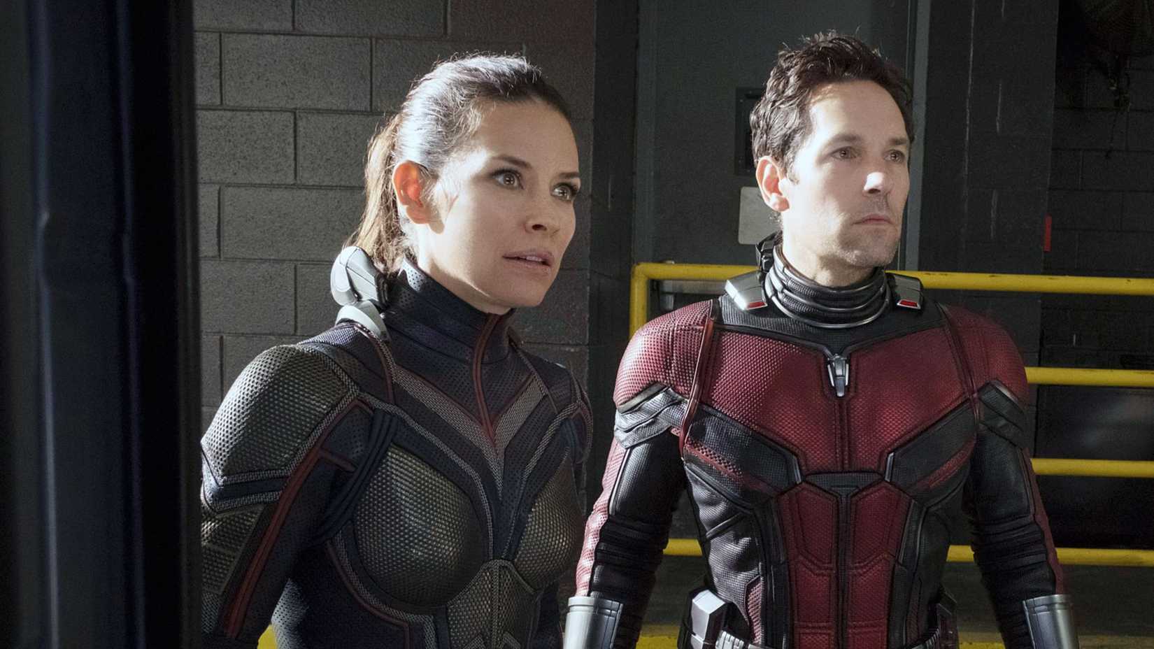 Evangeline Lilly Confirms Hollywood Departure With Devastating Health ...