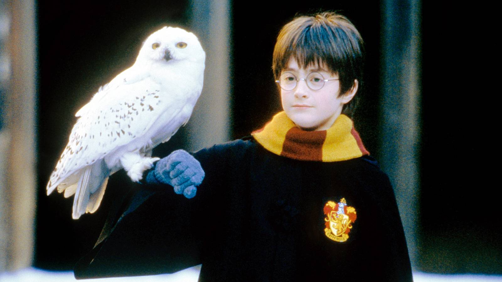 HBO’s New Harry Potter Update Means the Reboot May Erase a Key ...