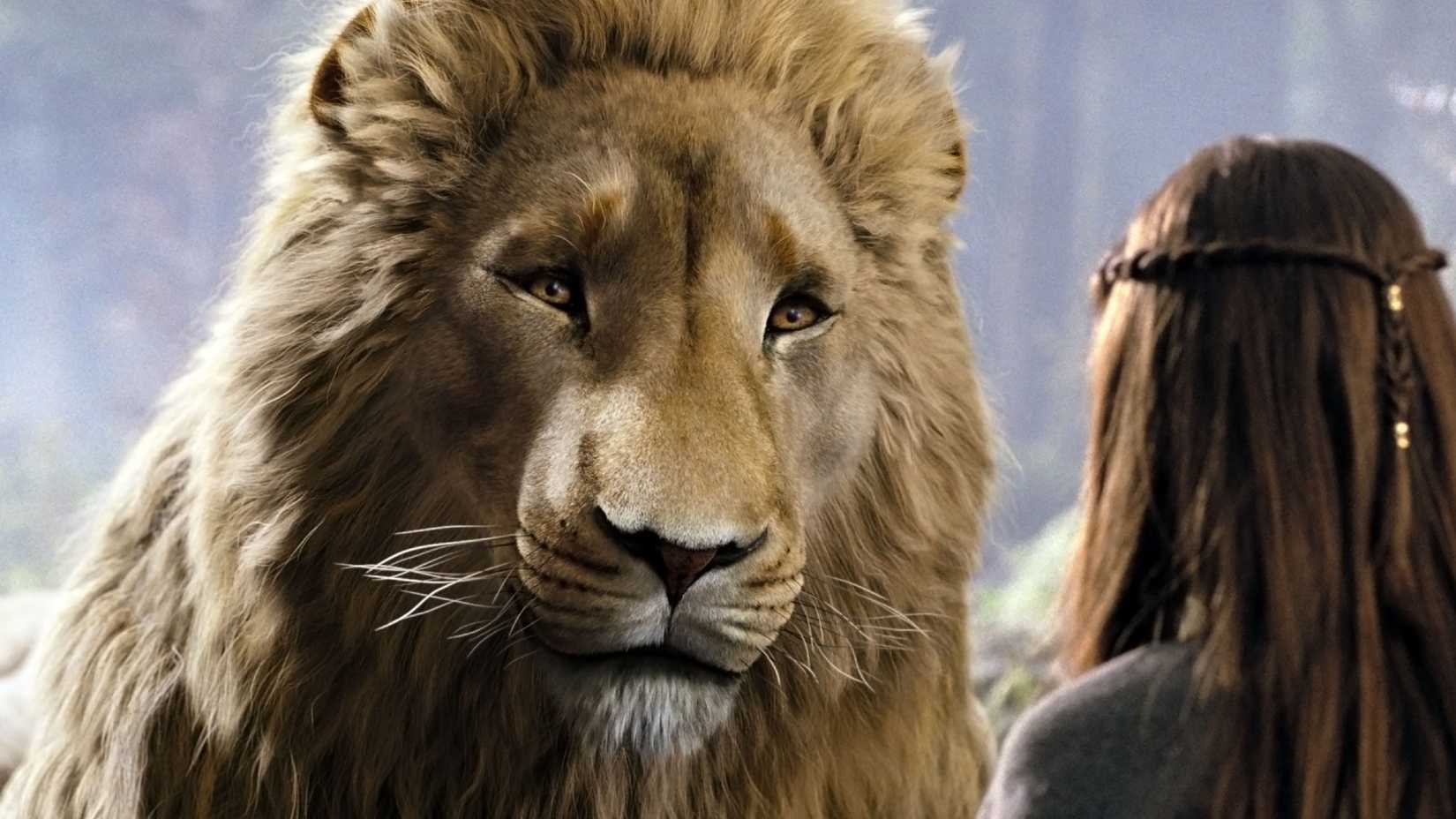 5 Lessons Narnia: The Magician's Nephew Can Learn From The Rings of Power