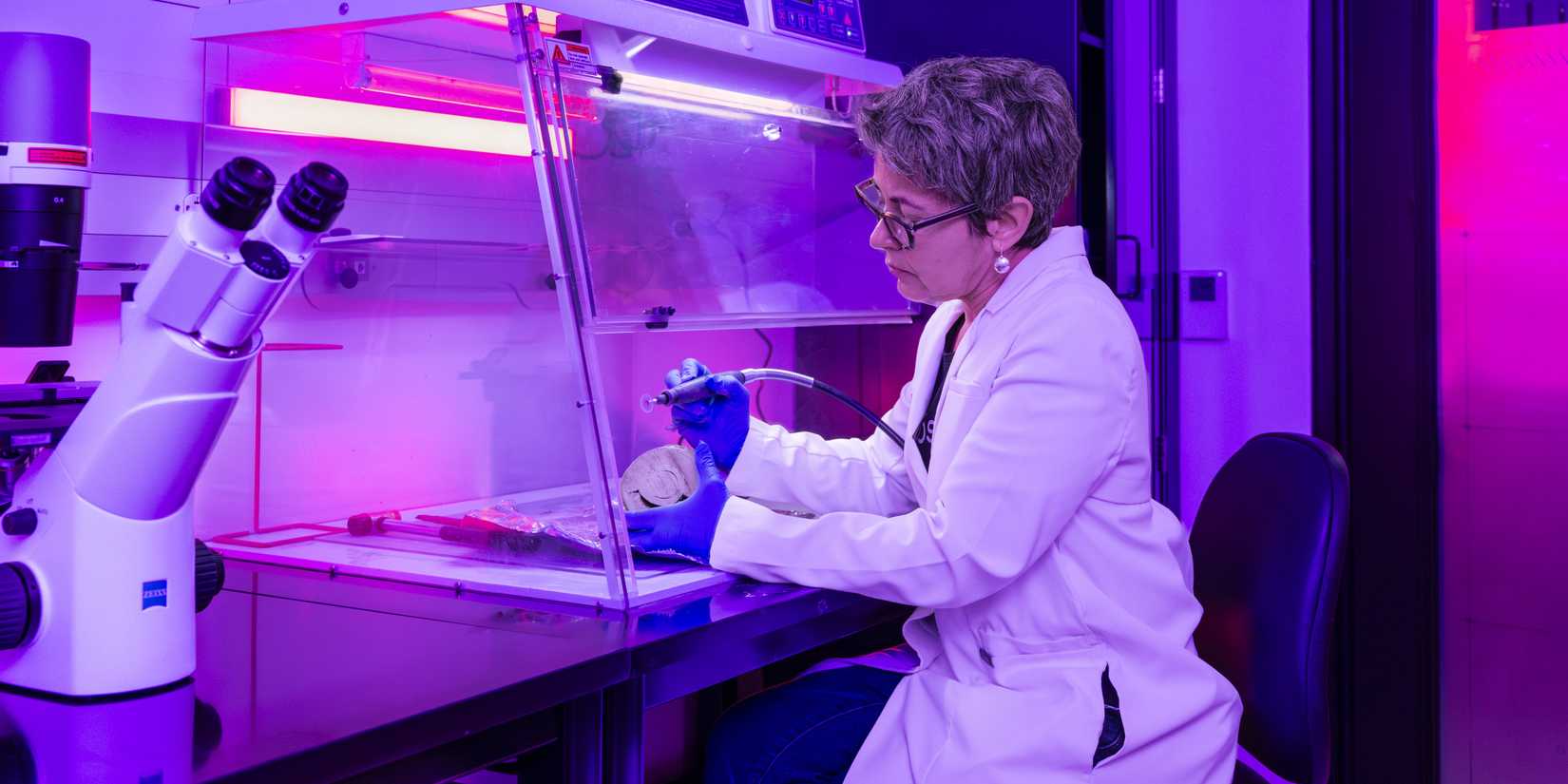 Colossal Biosciences New Lab Brings Big Updates on the Woolly Mammoth ...