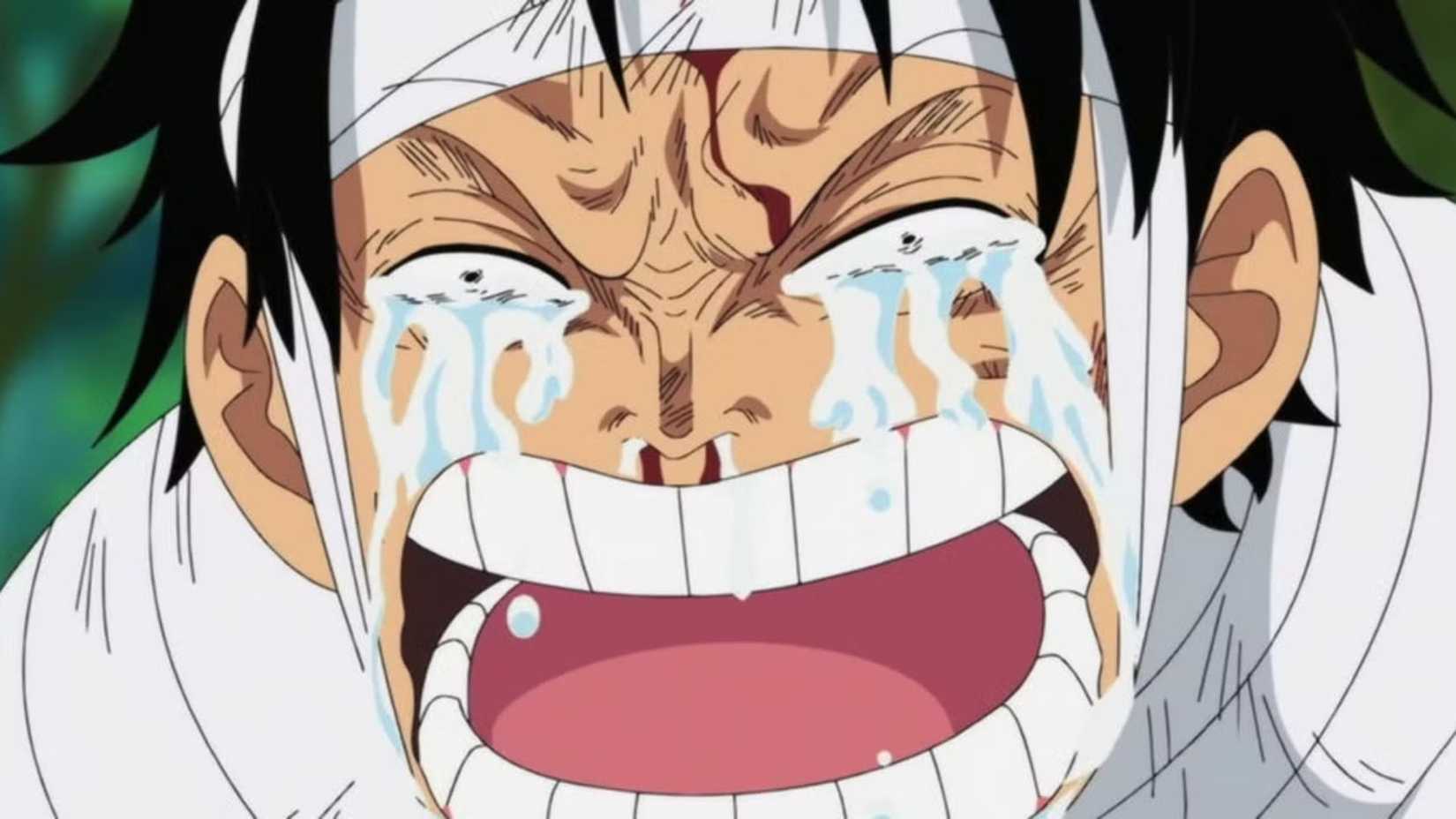 Crunchyroll's Subscription Cost Raise Completely Changes the Anime ...