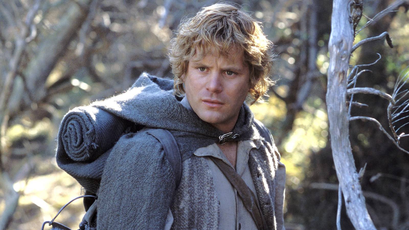 This LOTR Theory Proves Sam Resisted the One Ring in Rivendell