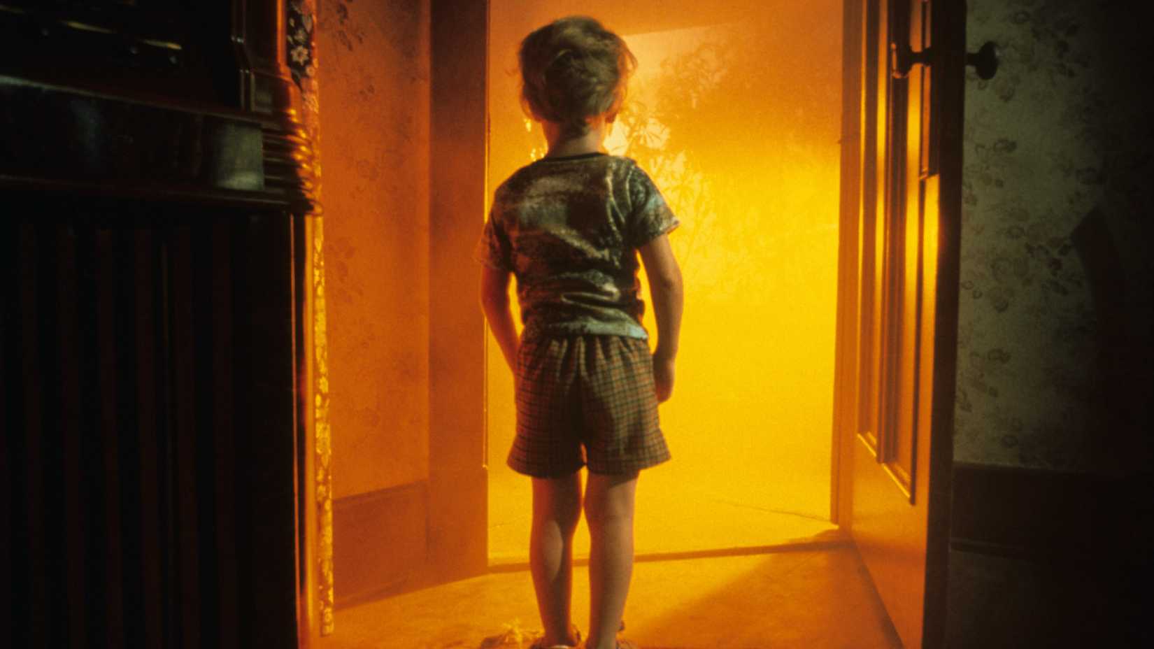 10 Alternate Director's Cuts That Have Aged Like Fine Wine
