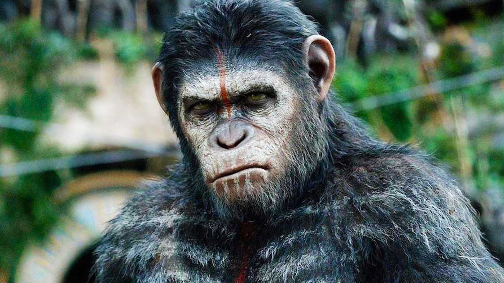 Disney's 'Breathtaking' Sci-Fi Series Beats Star Wars at Its Own Game