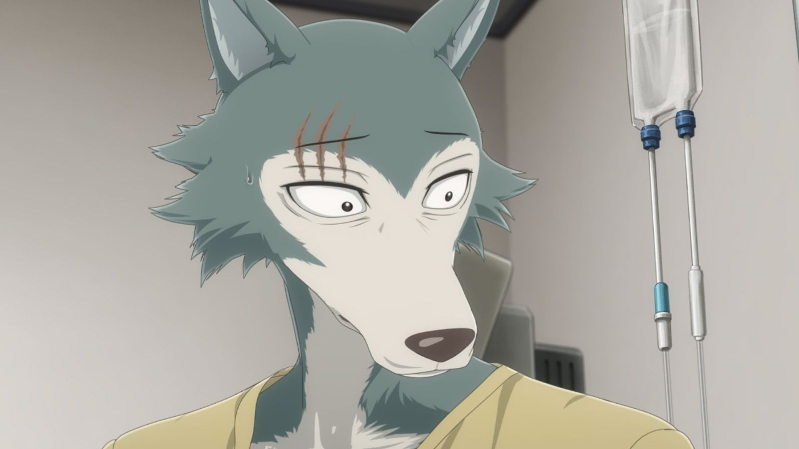 10 Best Netflix Original Anime of All Time, Ranked