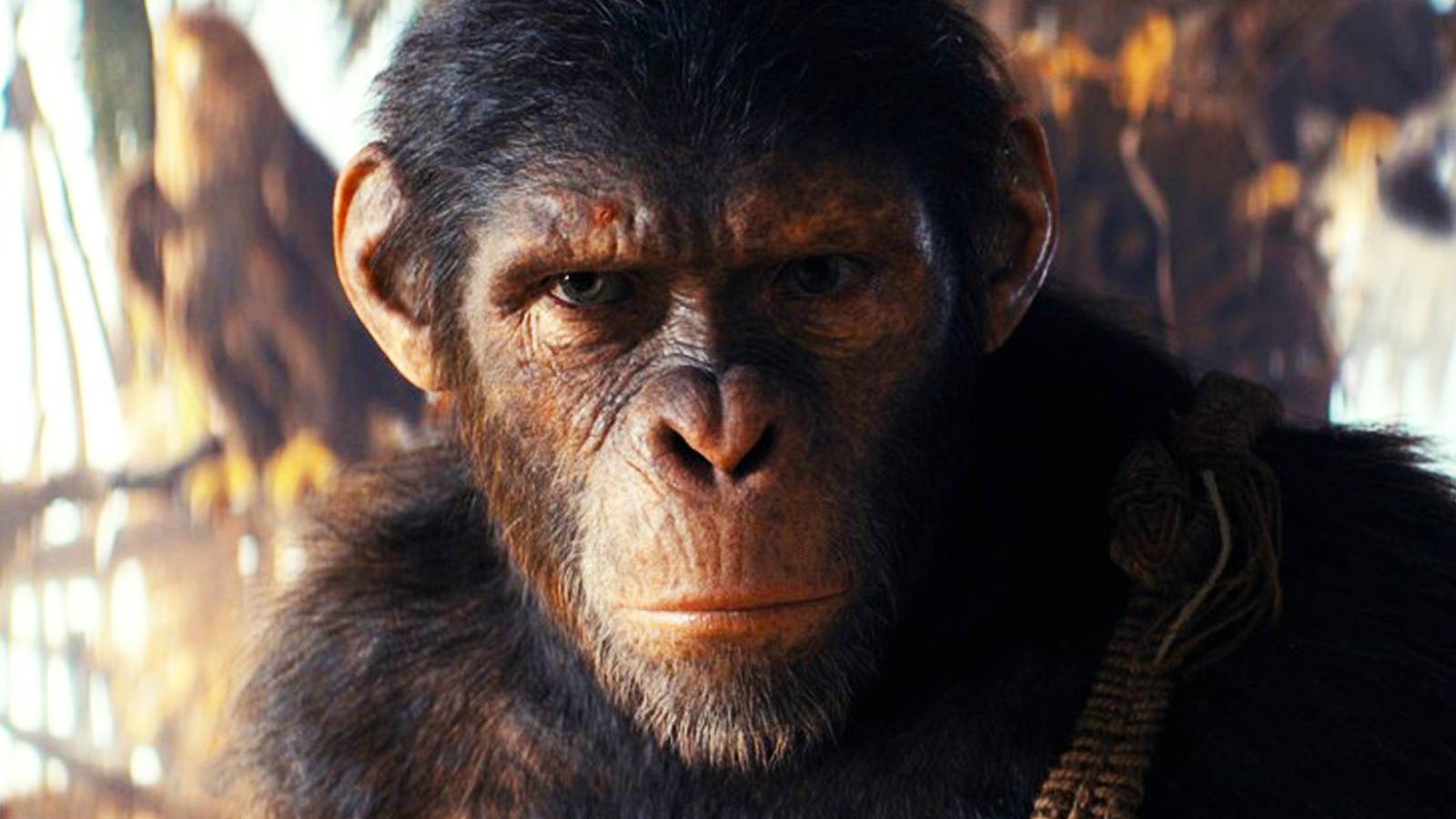 Planet of the Apes New Movie Is an End of an Era