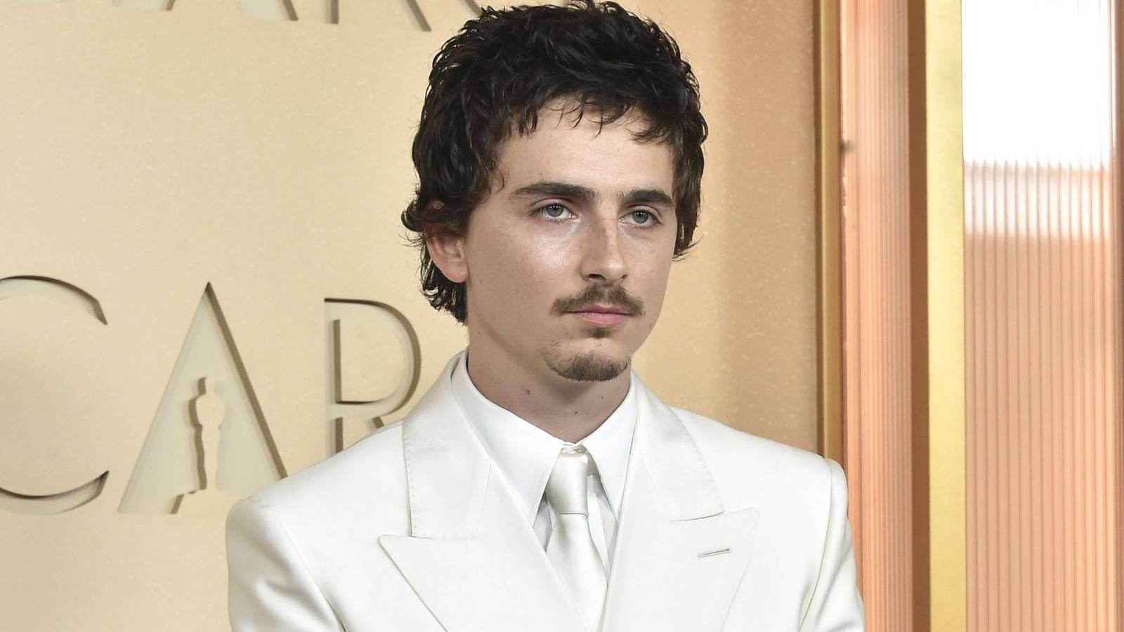 Timothée Chalamet's Marty Supreme Sets HBO Max Streaming Release Date