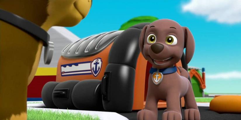 All the PAW Patrol Characters & Their Dog Breeds