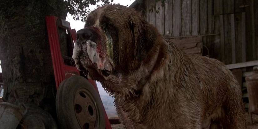 Stephen King's Cujo Is Getting a Netflix Remake and It Will Be Perfect
