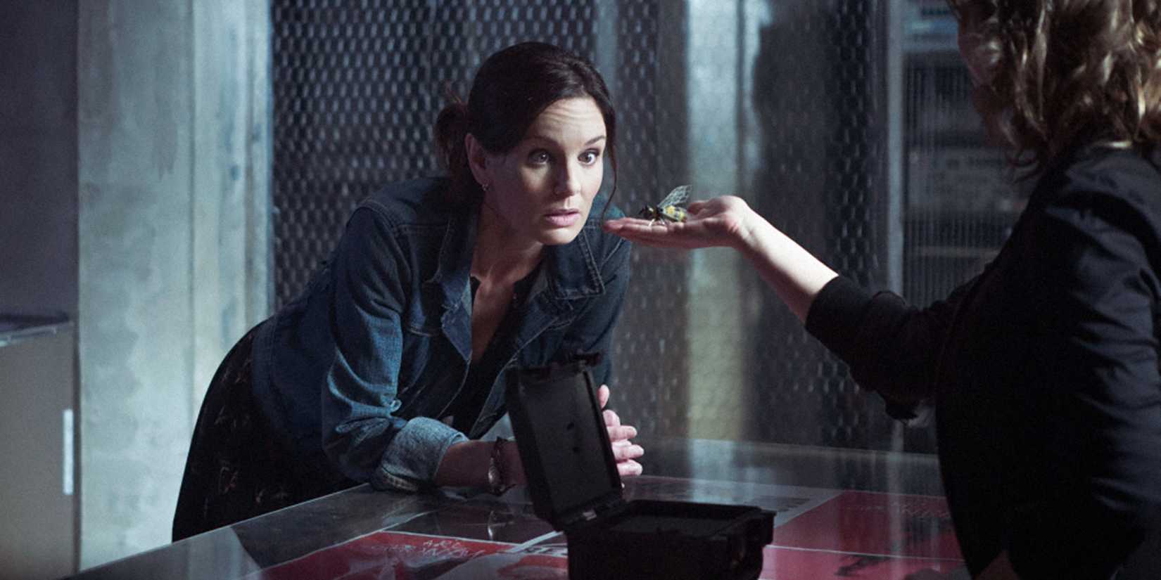 Tubi Officially Adds All 3 Seasons of Colony in May 2026