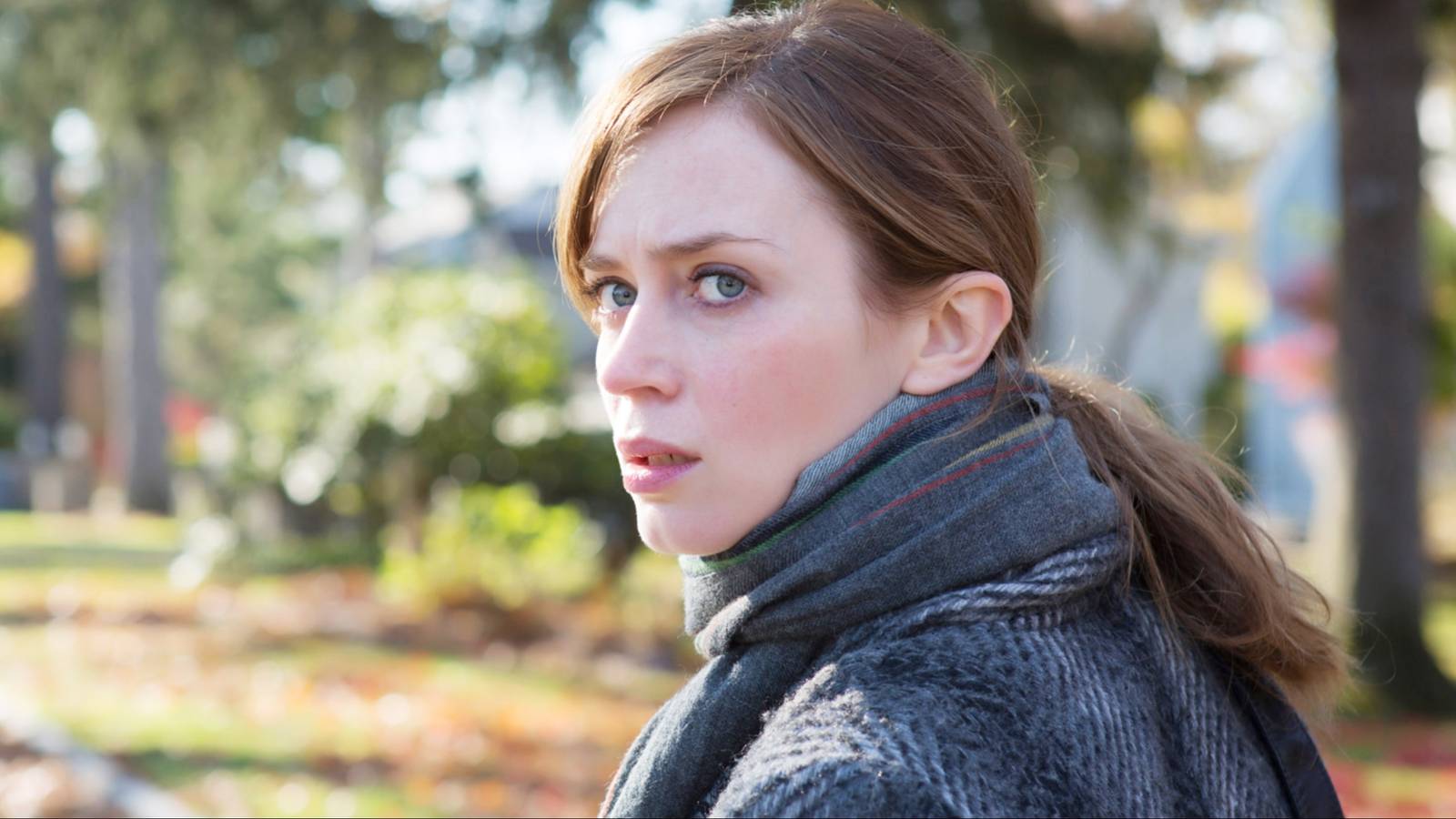 Emily Blunt's The Girl on the Train Becomes a Streaming Hit 10 Years Later