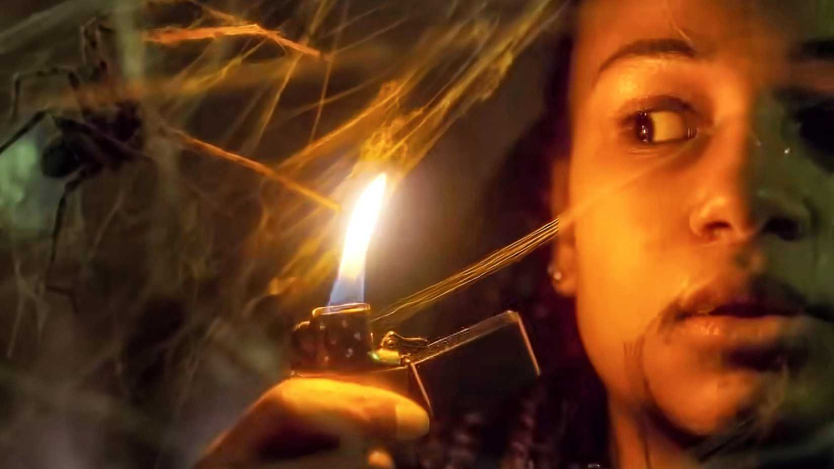 Evil Dead Burn Director's Debut Infested is a Perfect Horror Film
