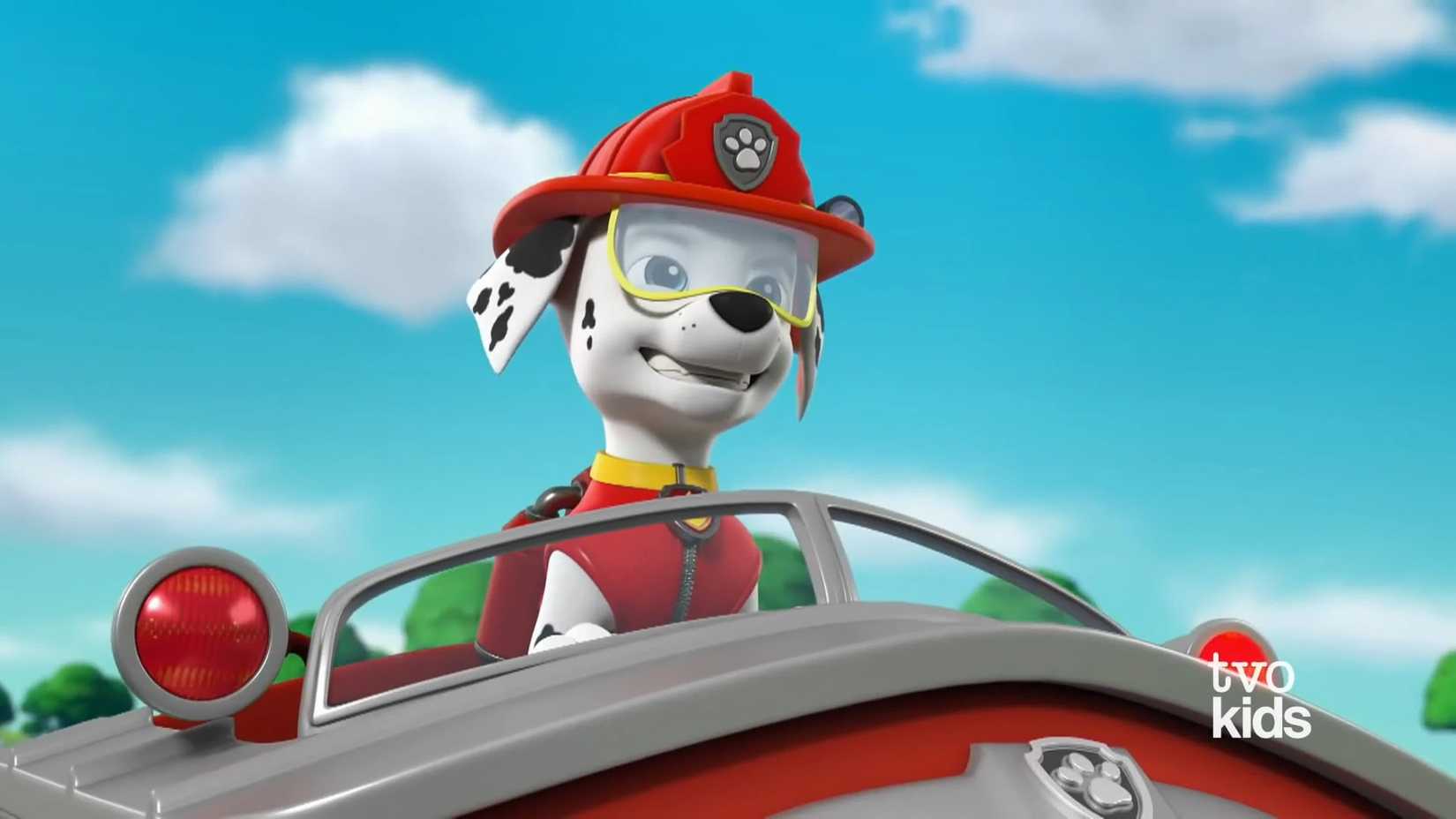 All the PAW Patrol Characters & Their Dog Breeds