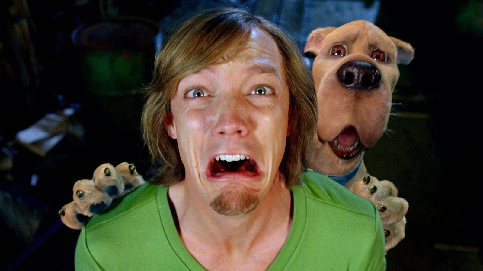 Scooby-Doo Star Matthew Lillard Confirms Shaggy Return