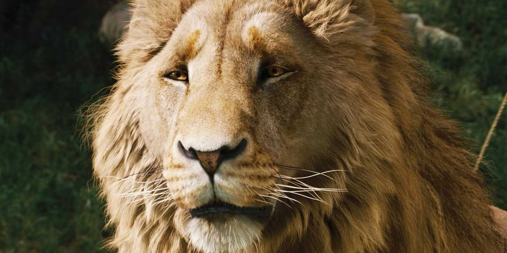 Netflix's Narnia Reboot Is Already the Movie Event of the Decade